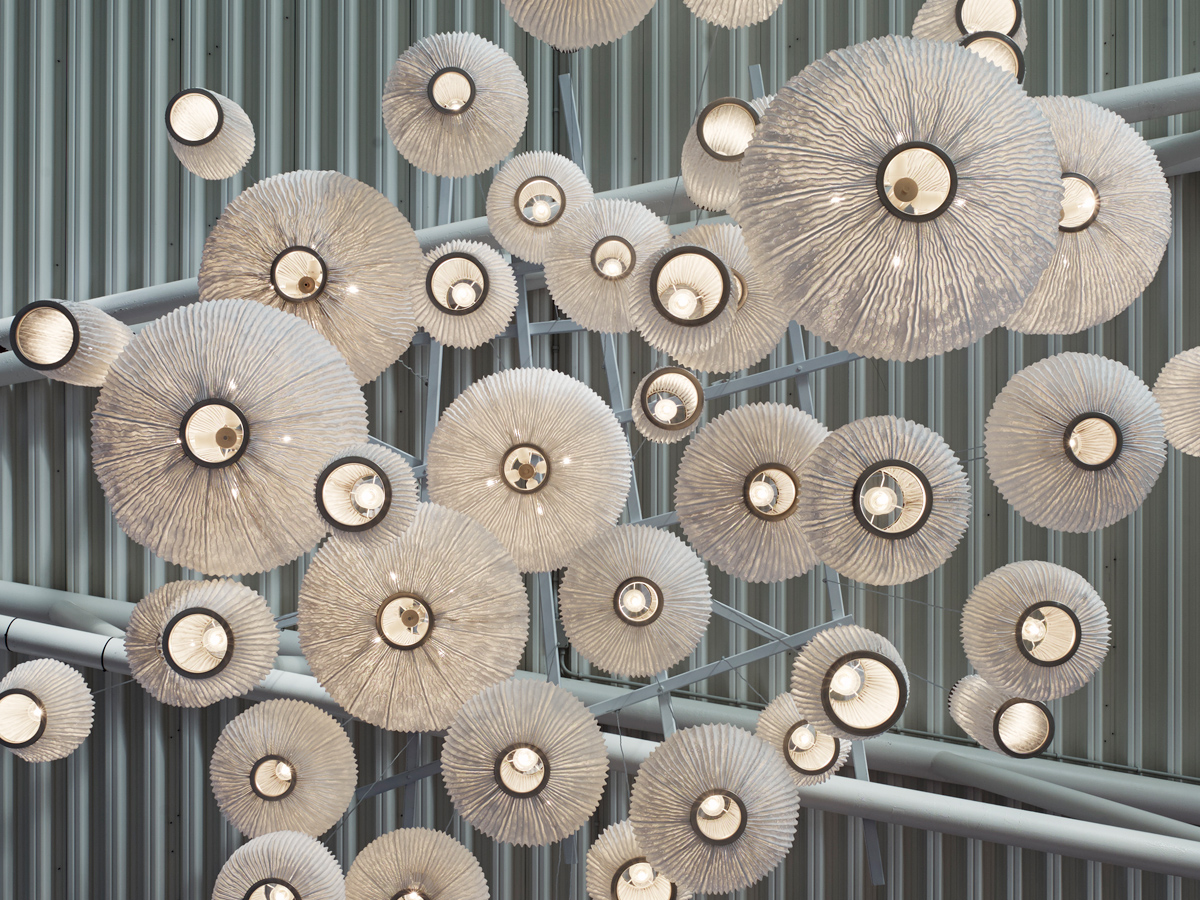 a emotional light | Coral Compo Large