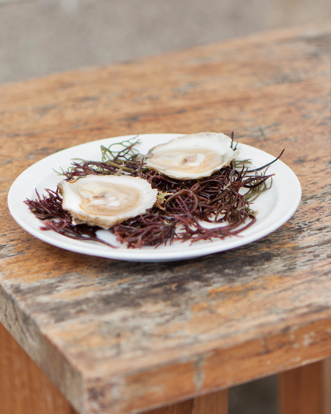 In The Spotlight Iago Pazos